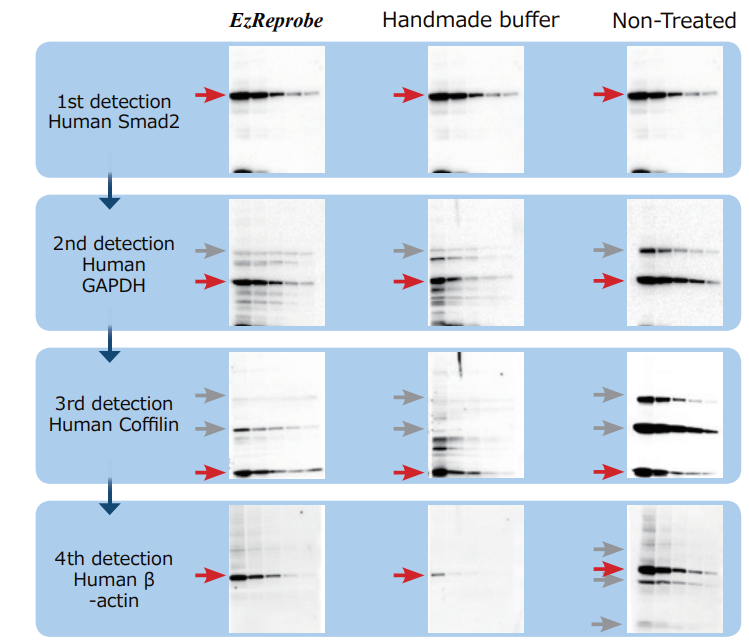 Stripping Solution | Axis Shield Density Gradient Media